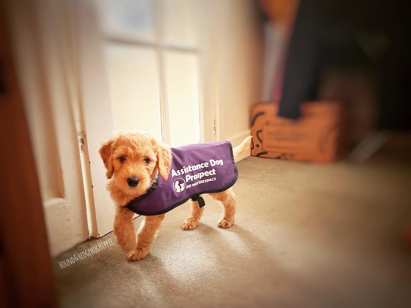 Sponsorship - Part Of The Pack